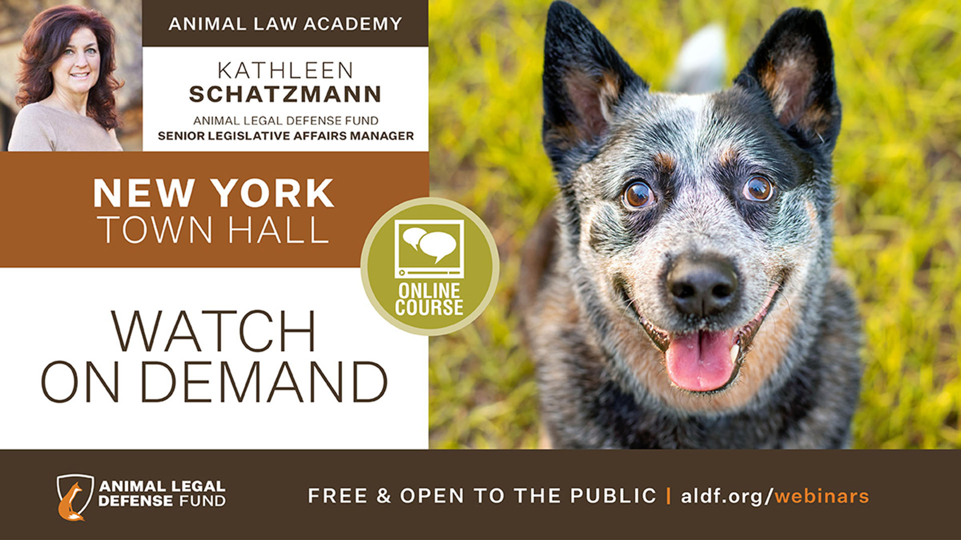 New York Town Hall - Animal Legal Defense Fund