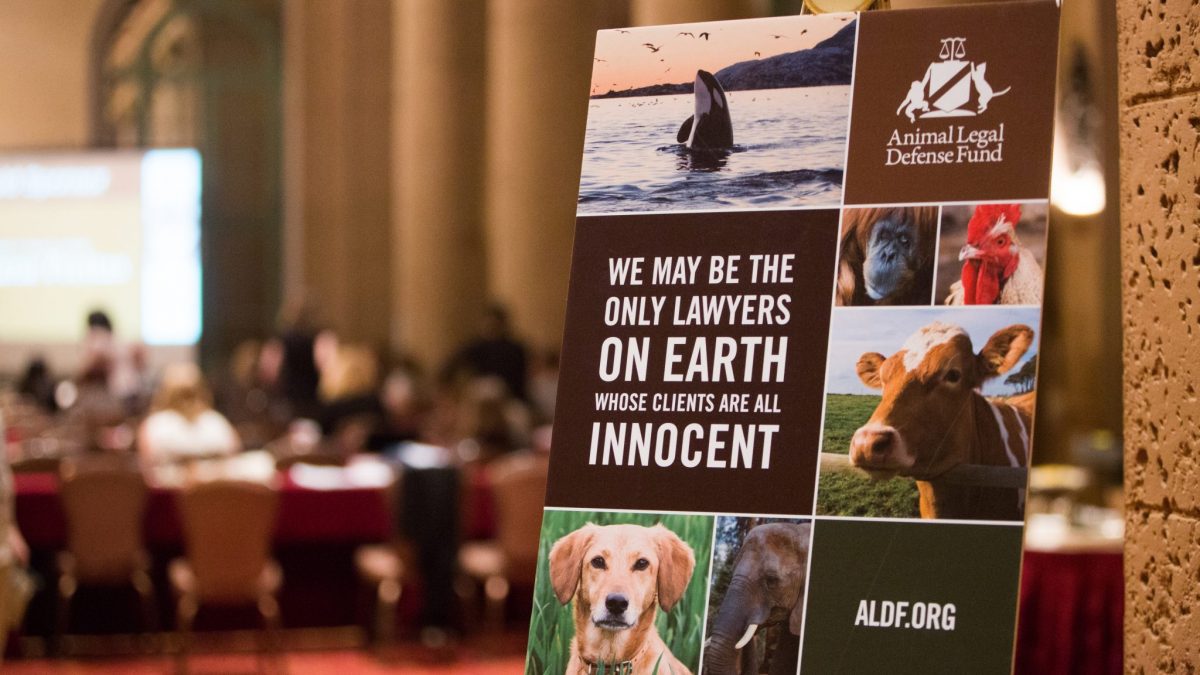 Animal Law Symposium: COVID-19 2021 - Animal Legal Defense Fund