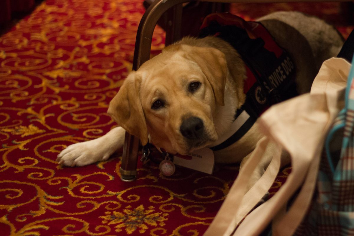 Animal Law Symposium: Los Angeles 2016 - Animal Legal Defense Fund