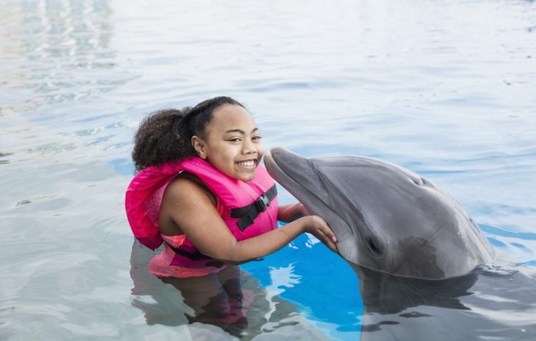 Animals in Entertainment - Animal Legal Defense Fund