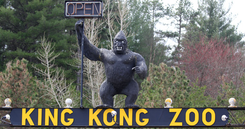 King Kong Zoological Park - Animal Legal Defense Fund