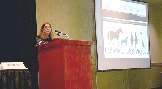 Criminal Justice Program Attorneys Speak on the Importance of ...