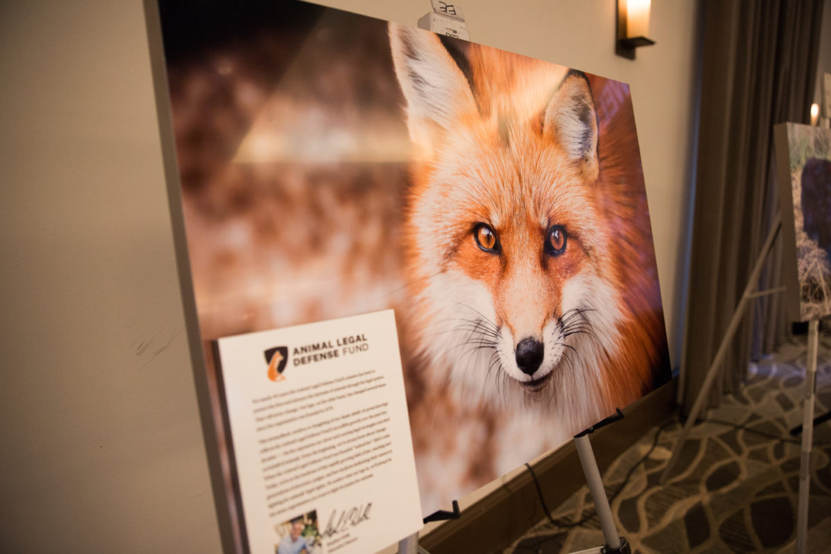 An Evening with the Animal Legal Defense Fund-Washington DC - Animal ...