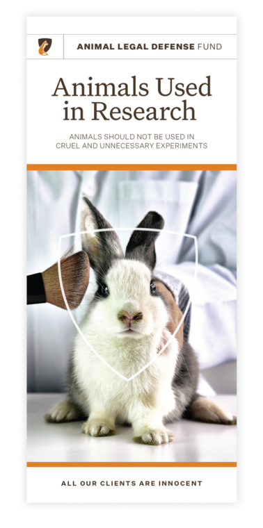 Animals Used in Research - Animal Legal Defense Fund