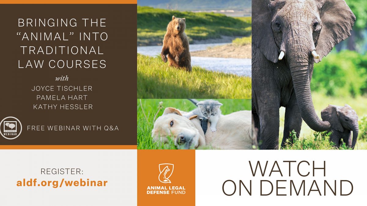 Bringing the “Animal” into Traditional Law Courses 2018 - Animal Legal ...