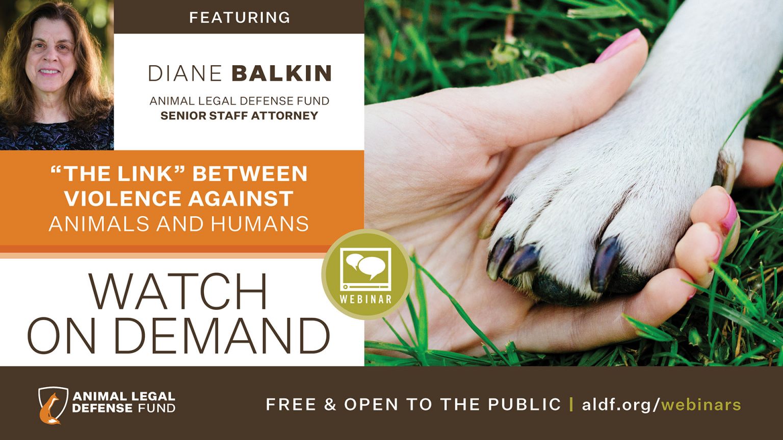 "The Link" Between Violence Against Animals and Humans