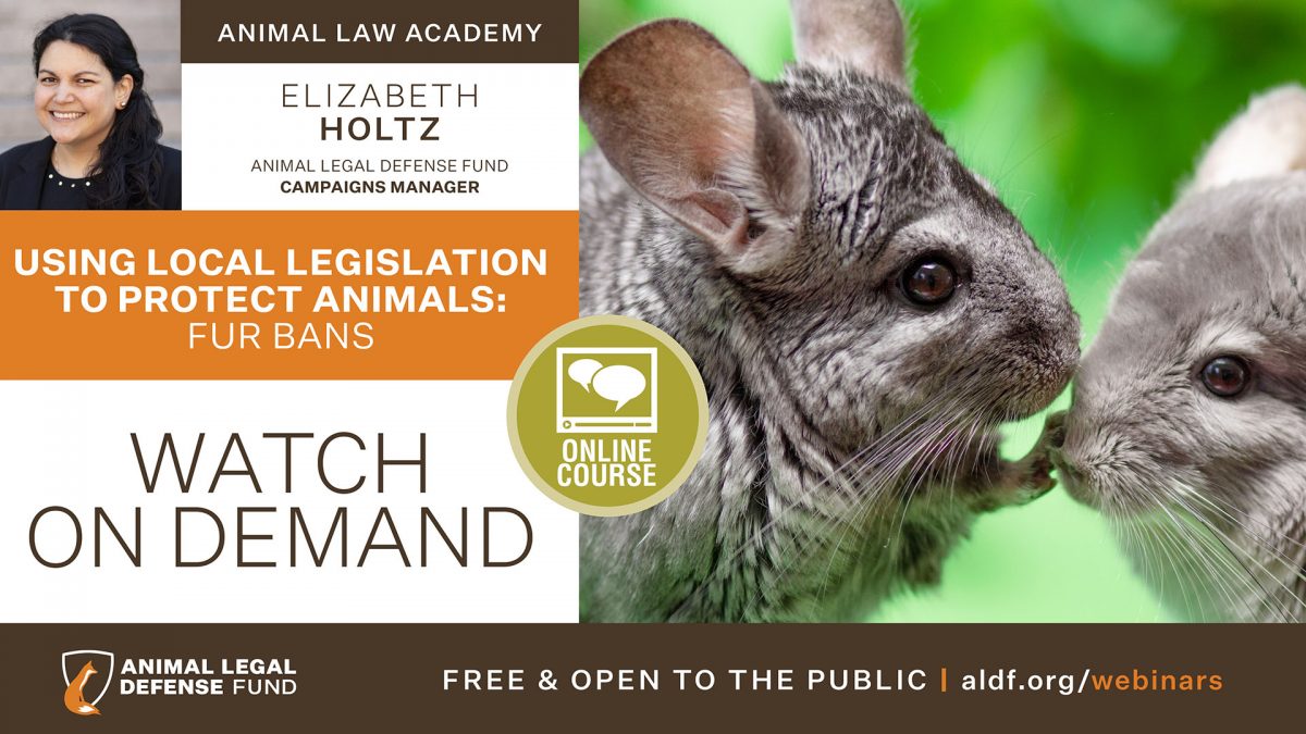 Using Local Legislation to Protect Animals: Fur Bans - Animal Legal ...