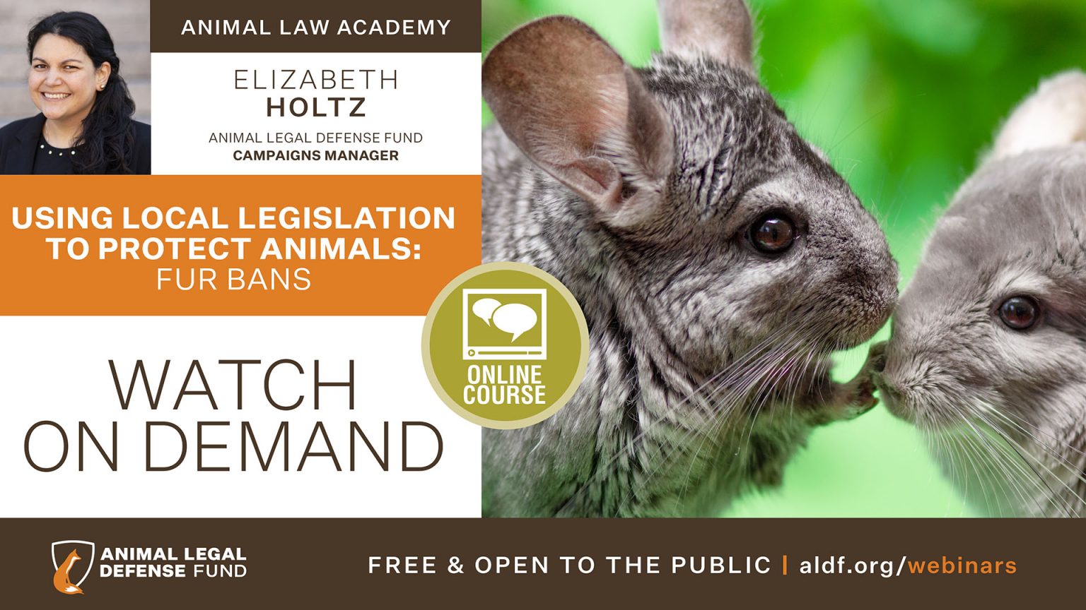 Using Local Legislation to Protect Animals: Fur Bans - Animal Legal ...