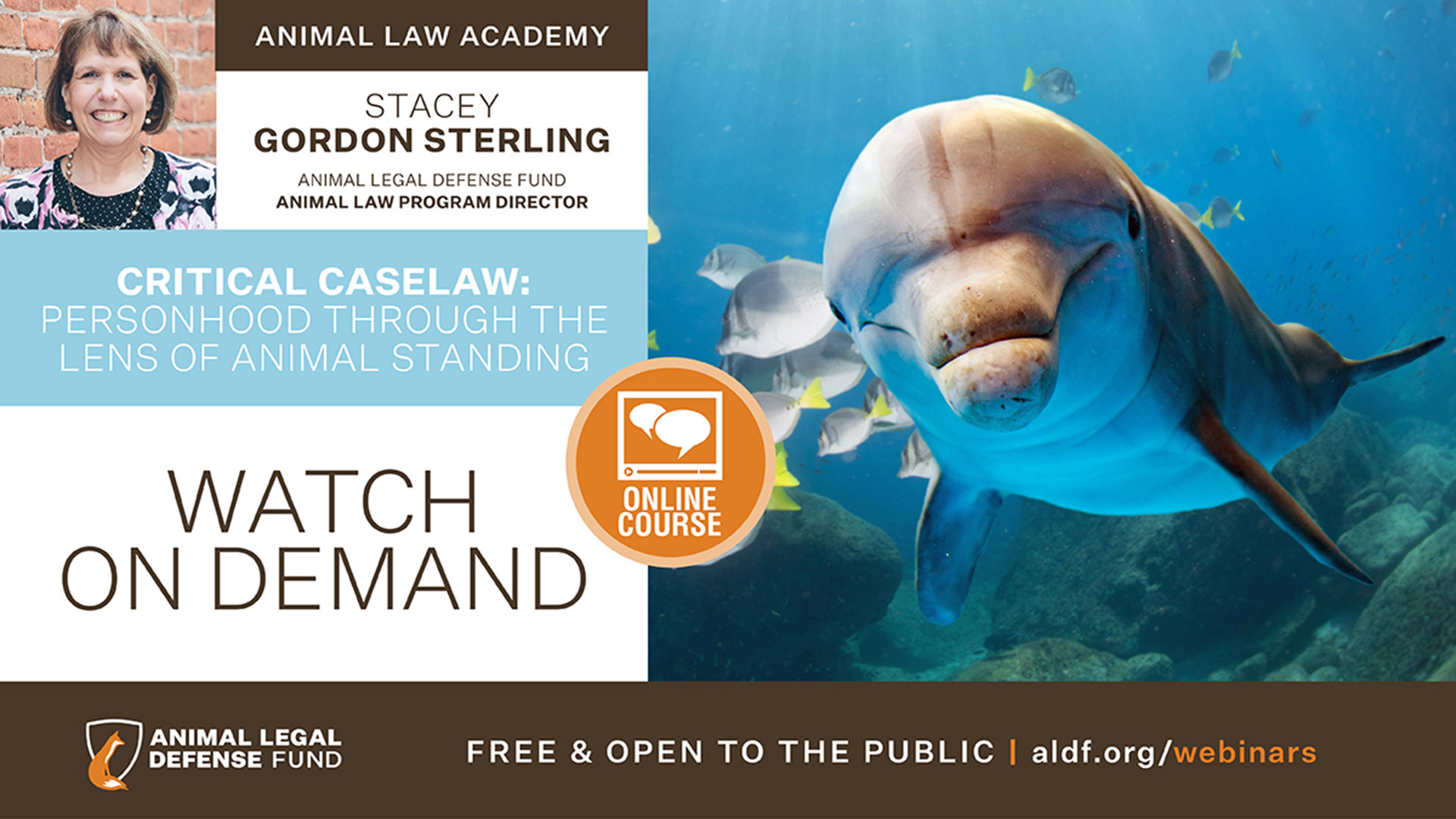 Critical Caselaw: Personhood Through the Lens of Animal Standing ...