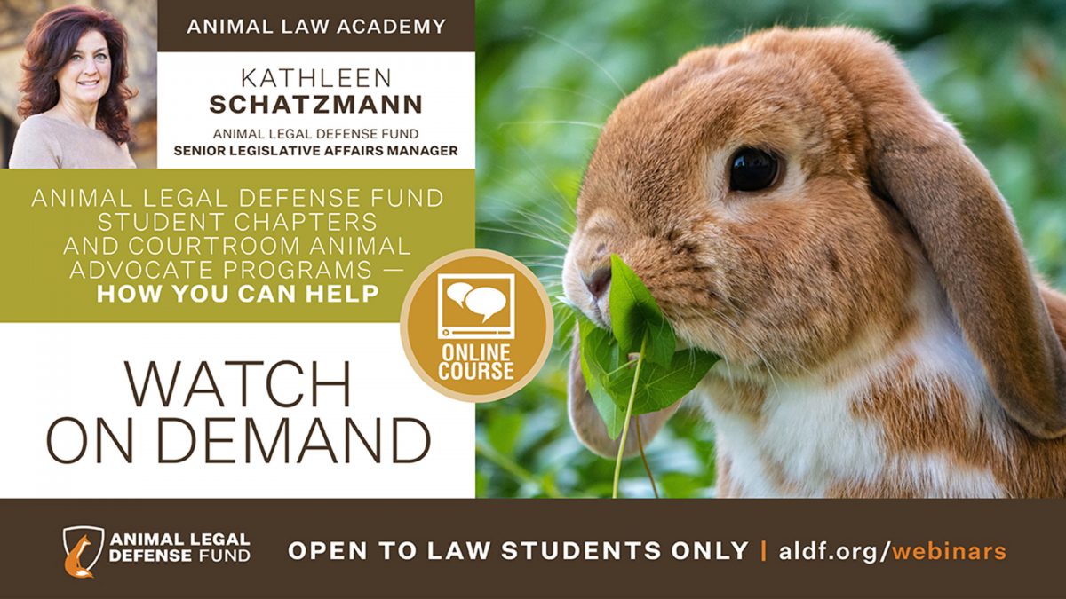 Animal Legal Defense Fund Student Chapters and Courtroom Animal ...