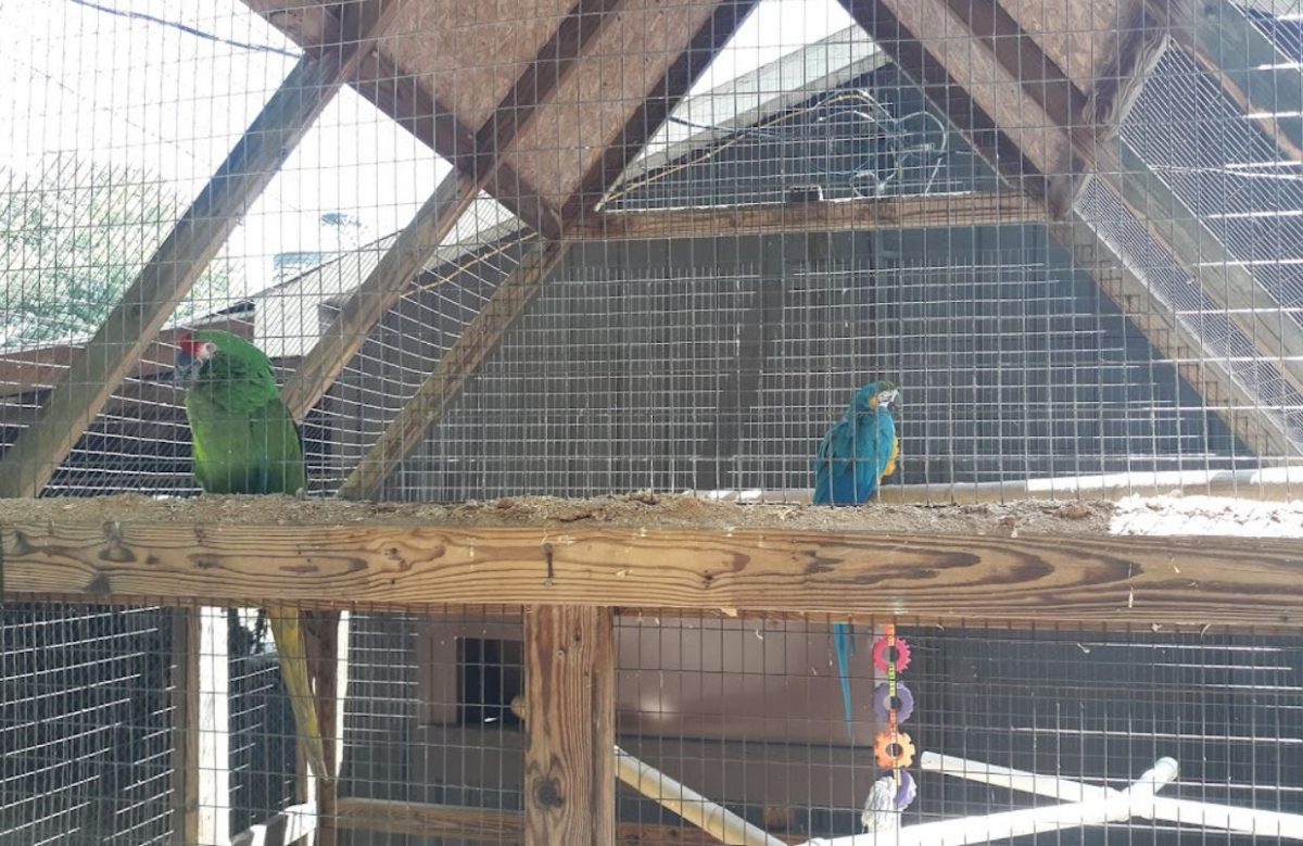 Challenging the Inhumane Treatment of Animals at Pymatuning Deer Park ...