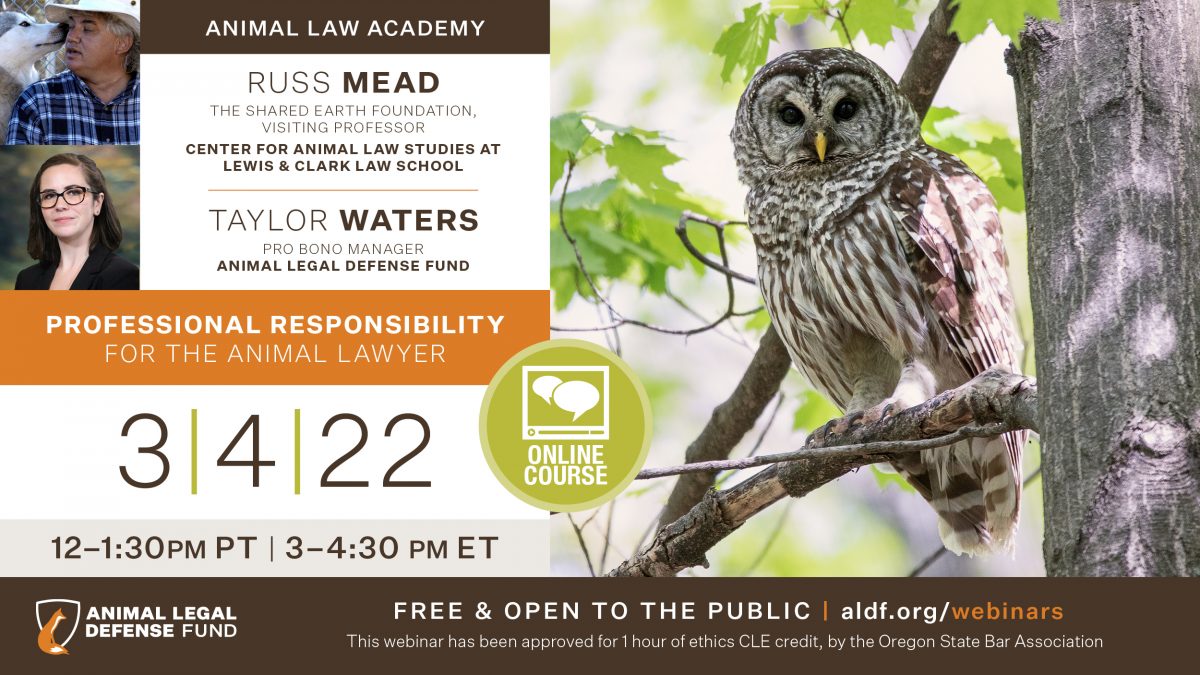Professional Responsibility for the Animal Lawyer - Animal Legal ...