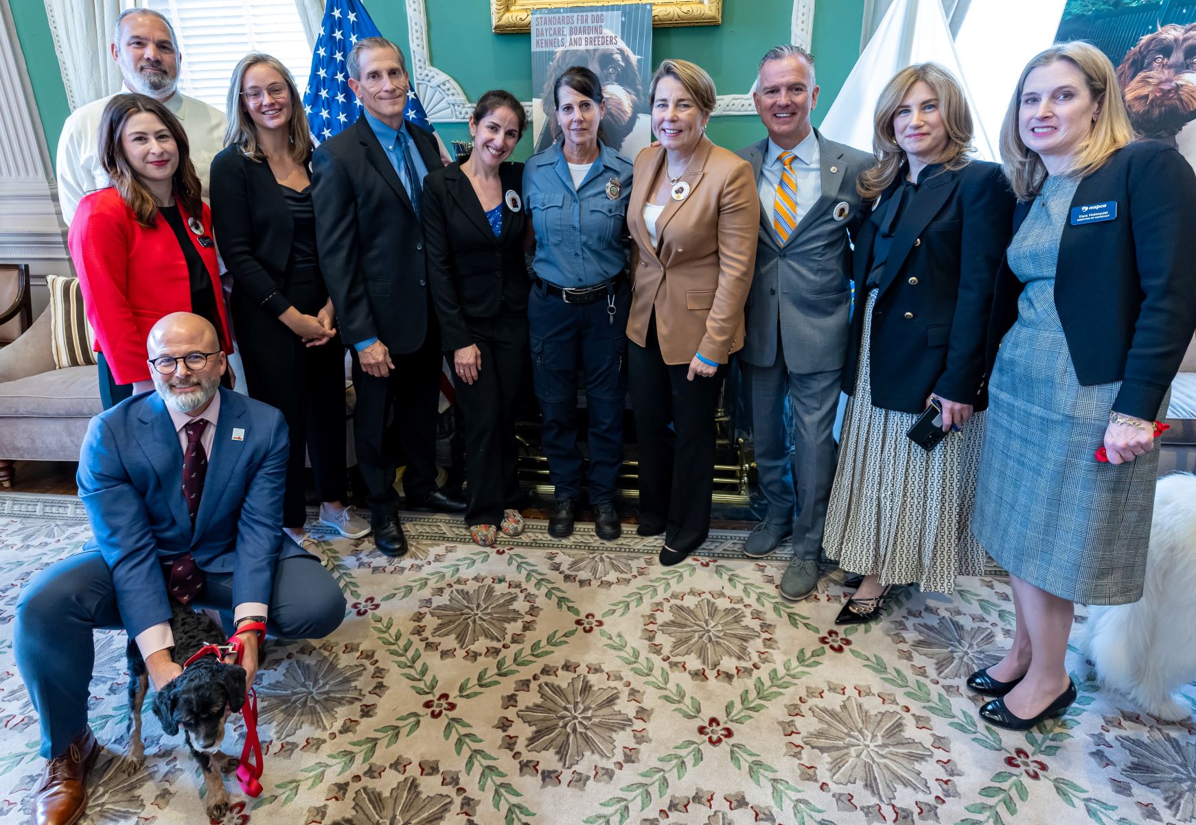 An Act to Increase Kennel Safety (Massachusetts) - Animal Legal Defense ...
