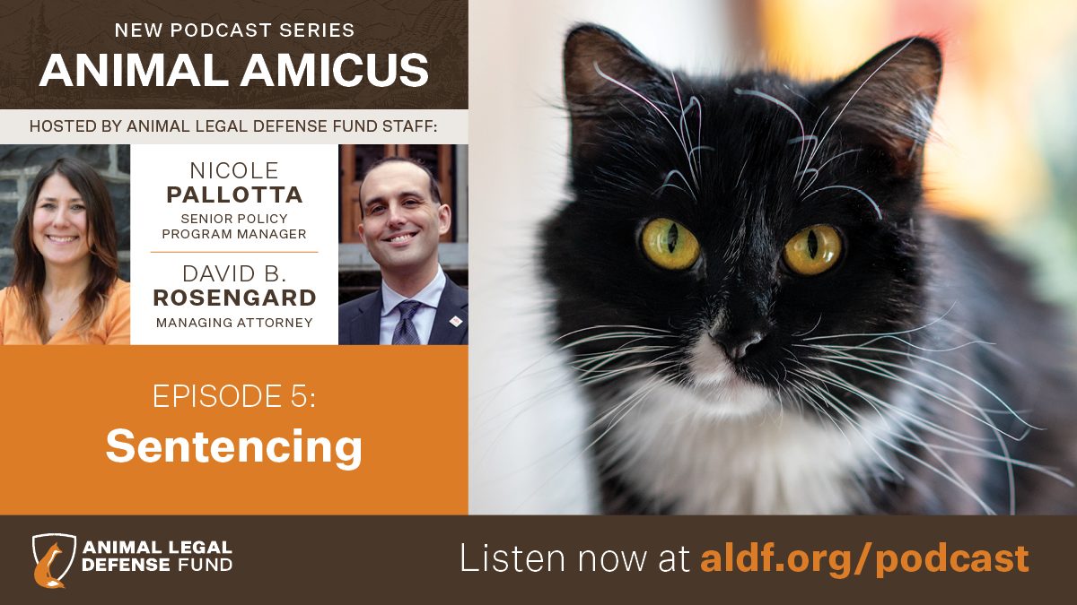 Episode 5: Sentencing - Animal Legal Defense Fund