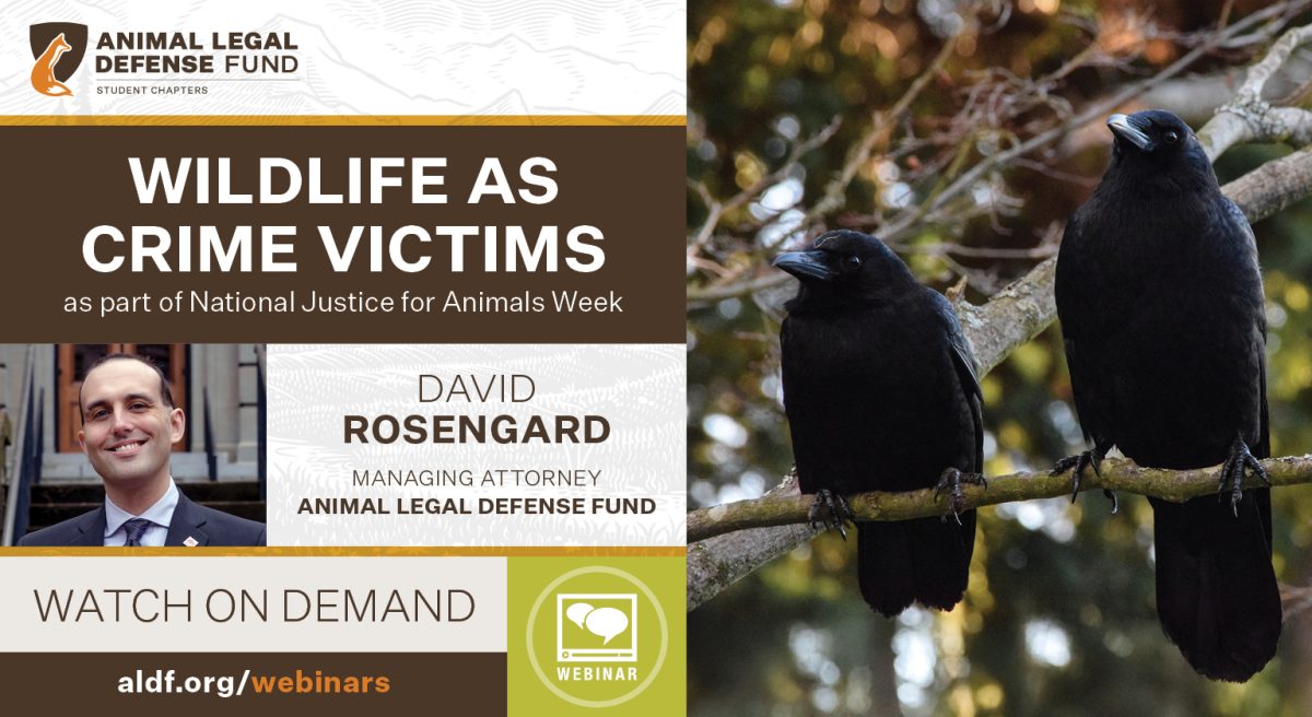 Wildlife as Crime Victims - Animal Legal Defense Fund