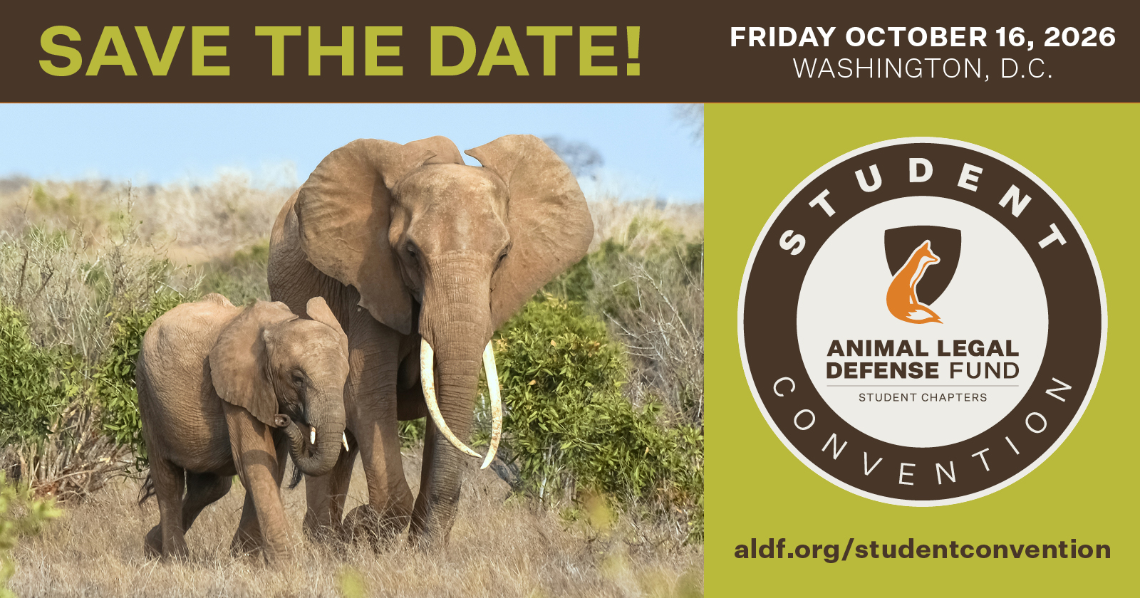Student Convention – 2026 - Animal Legal Defense Fund