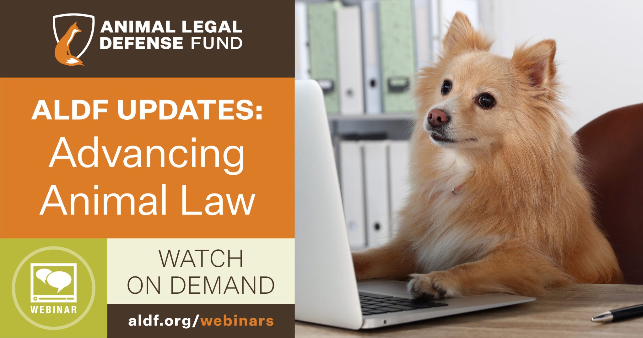 ALDF Updates: Advancing Animal Law - Animal Legal Defense Fund