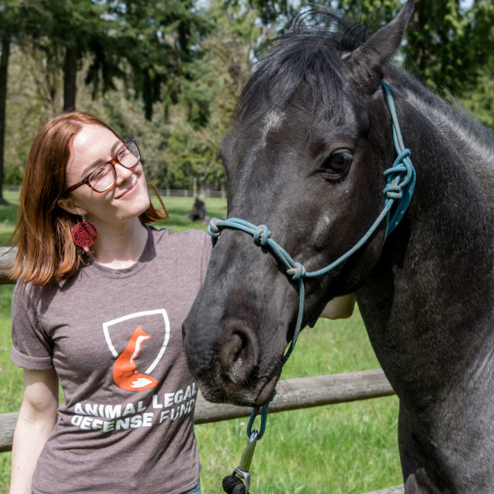 Laws that Protect Animals - Animal Legal Defense Fund