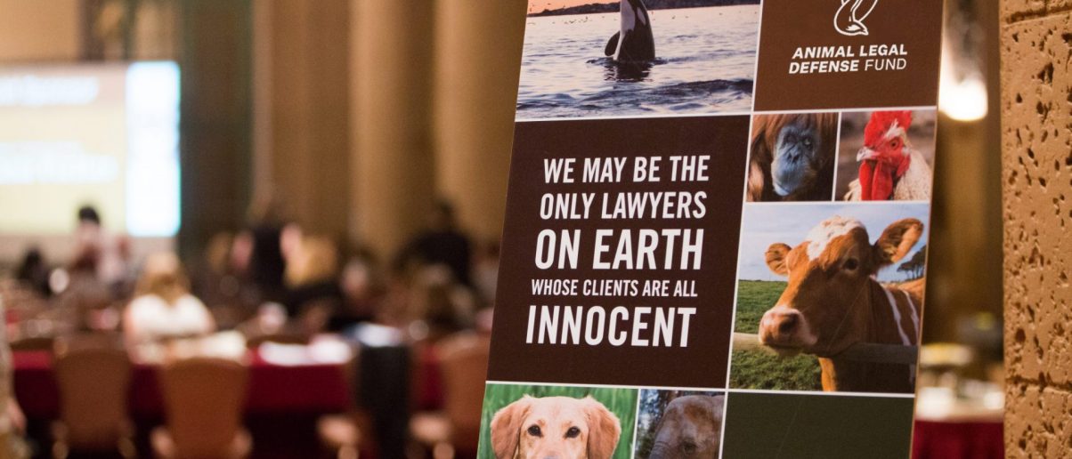 Animal Law Symposium 2026 - Animal Legal Defense Fund