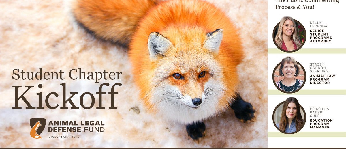 Student Chapter Kickoff - The Public Commenting Process & You! - Animal ...