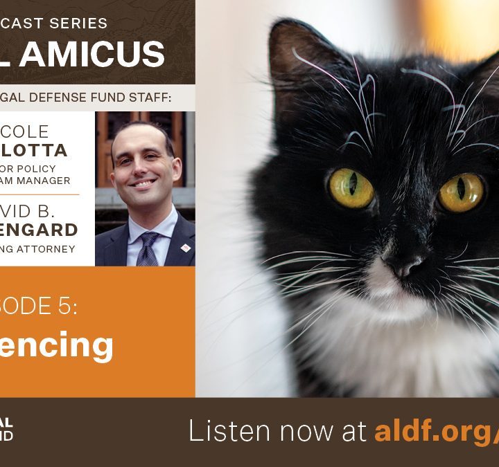 Animals in Entertainment - Animal Legal Defense Fund