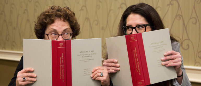 Animal Law—New Perspectives on Teaching Traditional Law - Animal Legal ...
