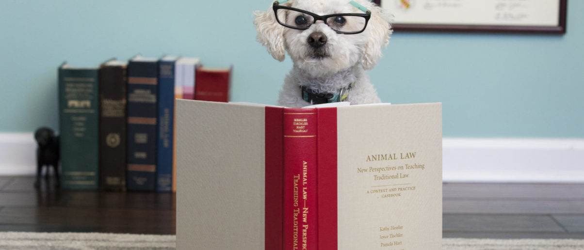 Animal Law Books & Periodicals
